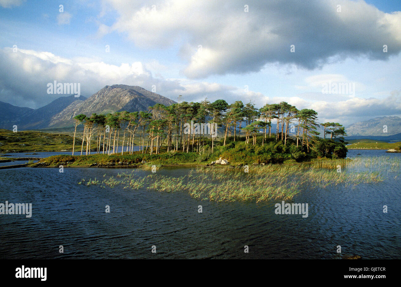 Lough salt hi-res stock photography and images - Alamy