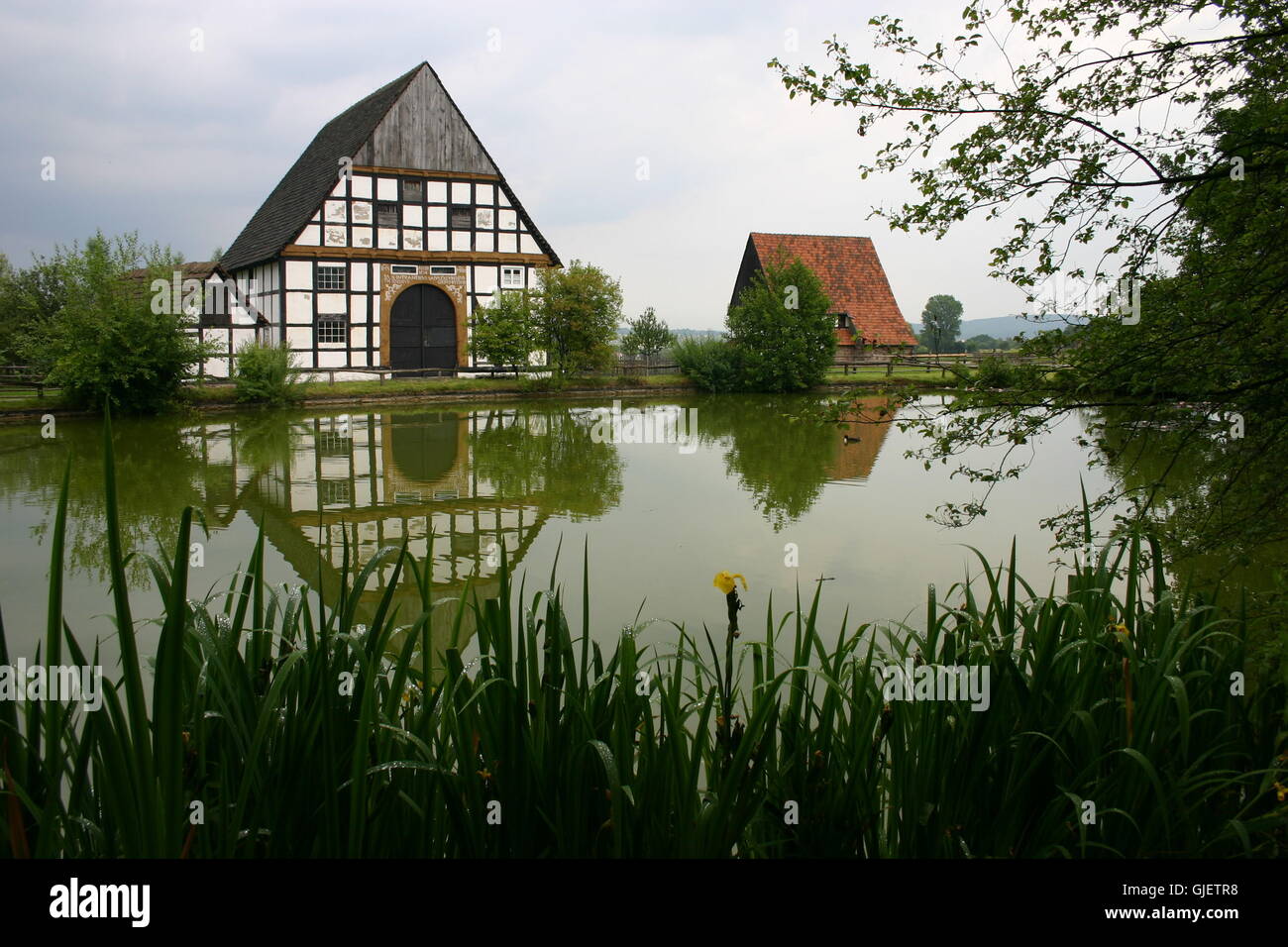 frame-work mirroring fresh water Stock Photo - Alamy