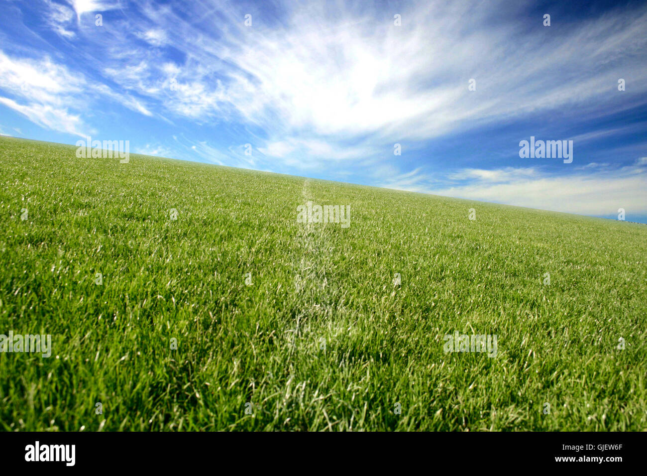 Centerline hi-res stock photography and images - Alamy