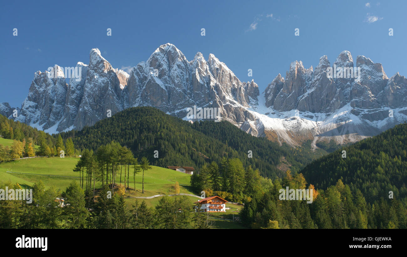 Geissler hi-res stock photography and images - Alamy