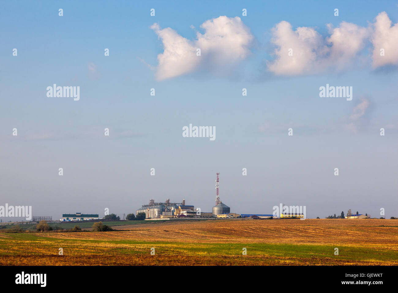 Plant Grain storage drying of grains,wheat, corn Stock Photo - Alamy