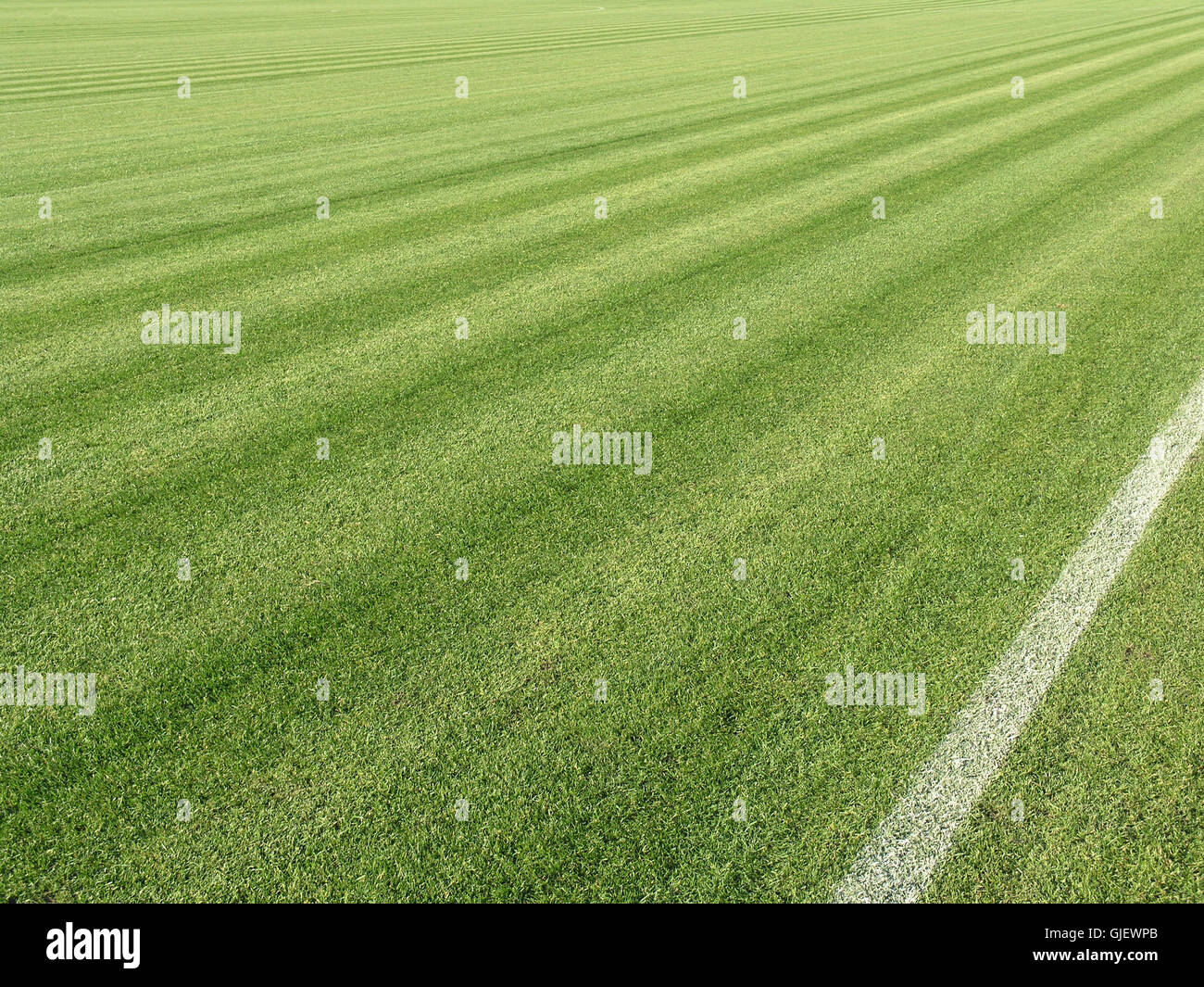 Football pitch marking hi-res stock photography and images - Alamy