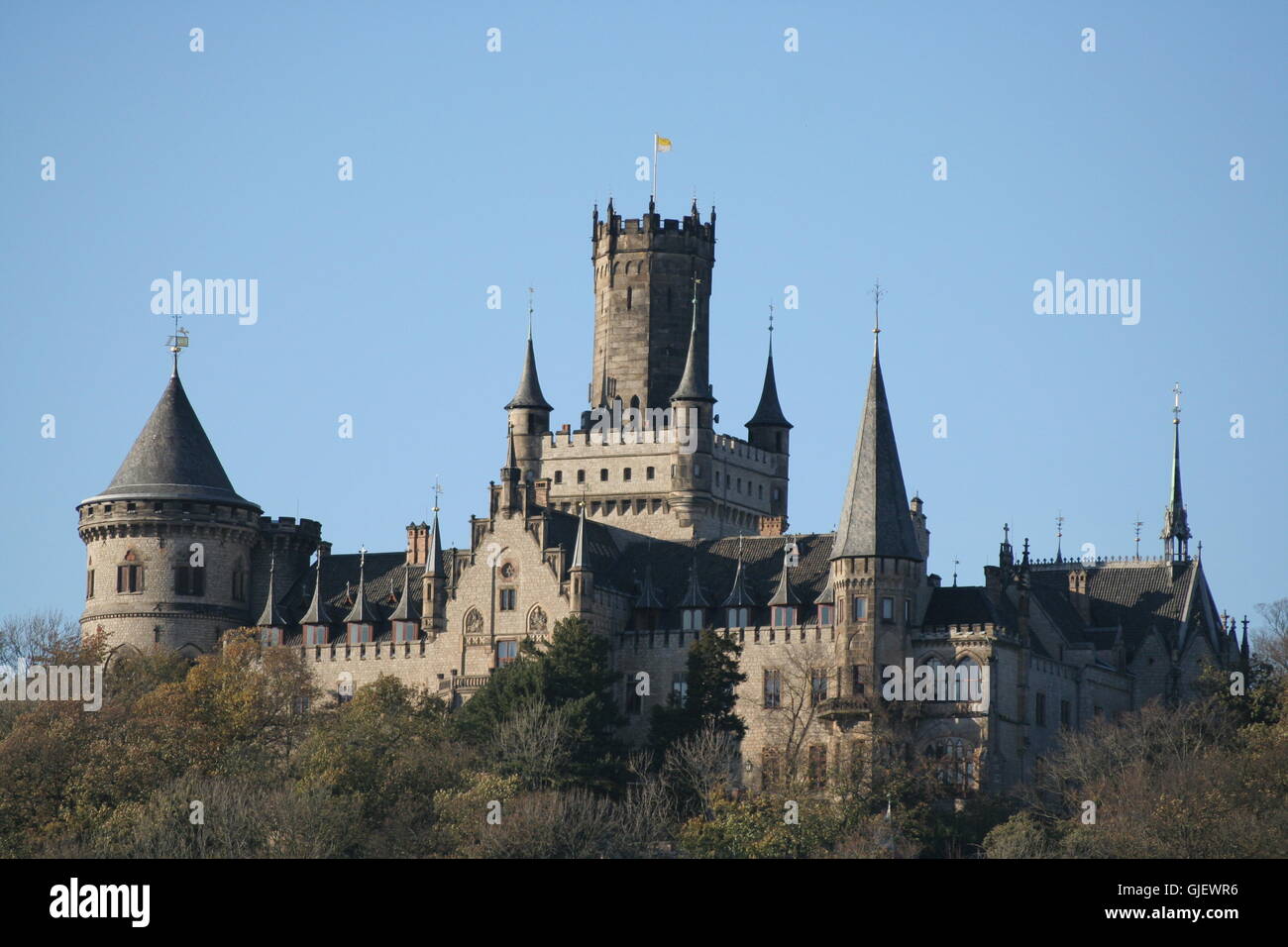tower tree trees Stock Photo - Alamy