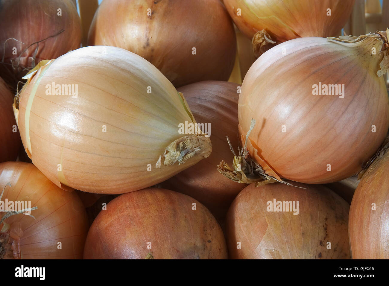 skin vegetable raw Stock Photo - Alamy
