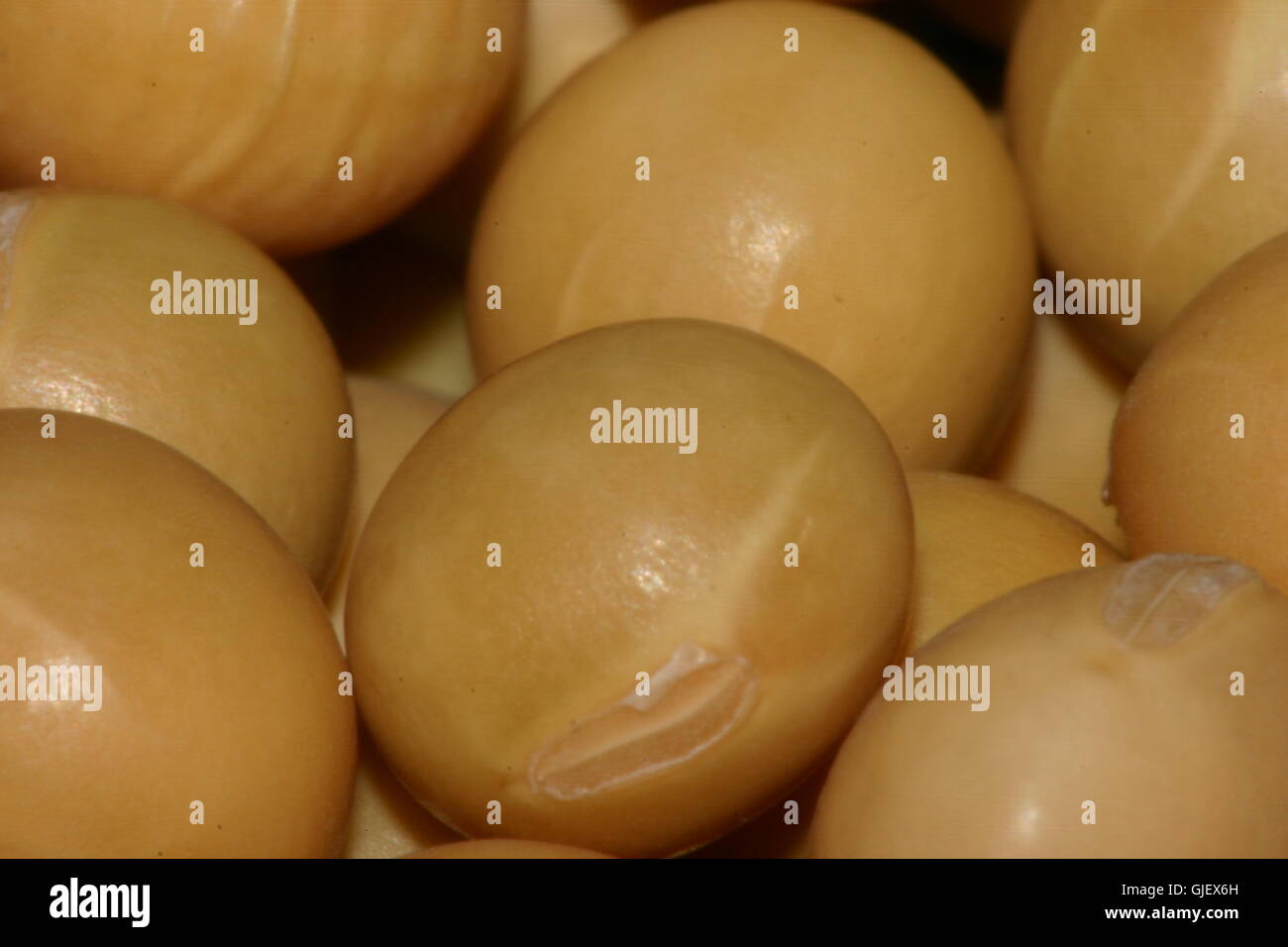 detail beige vegetable Stock Photo - Alamy
