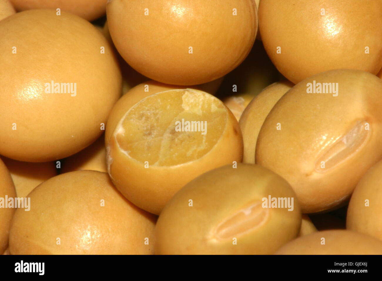 beige vegetable smooth Stock Photo - Alamy
