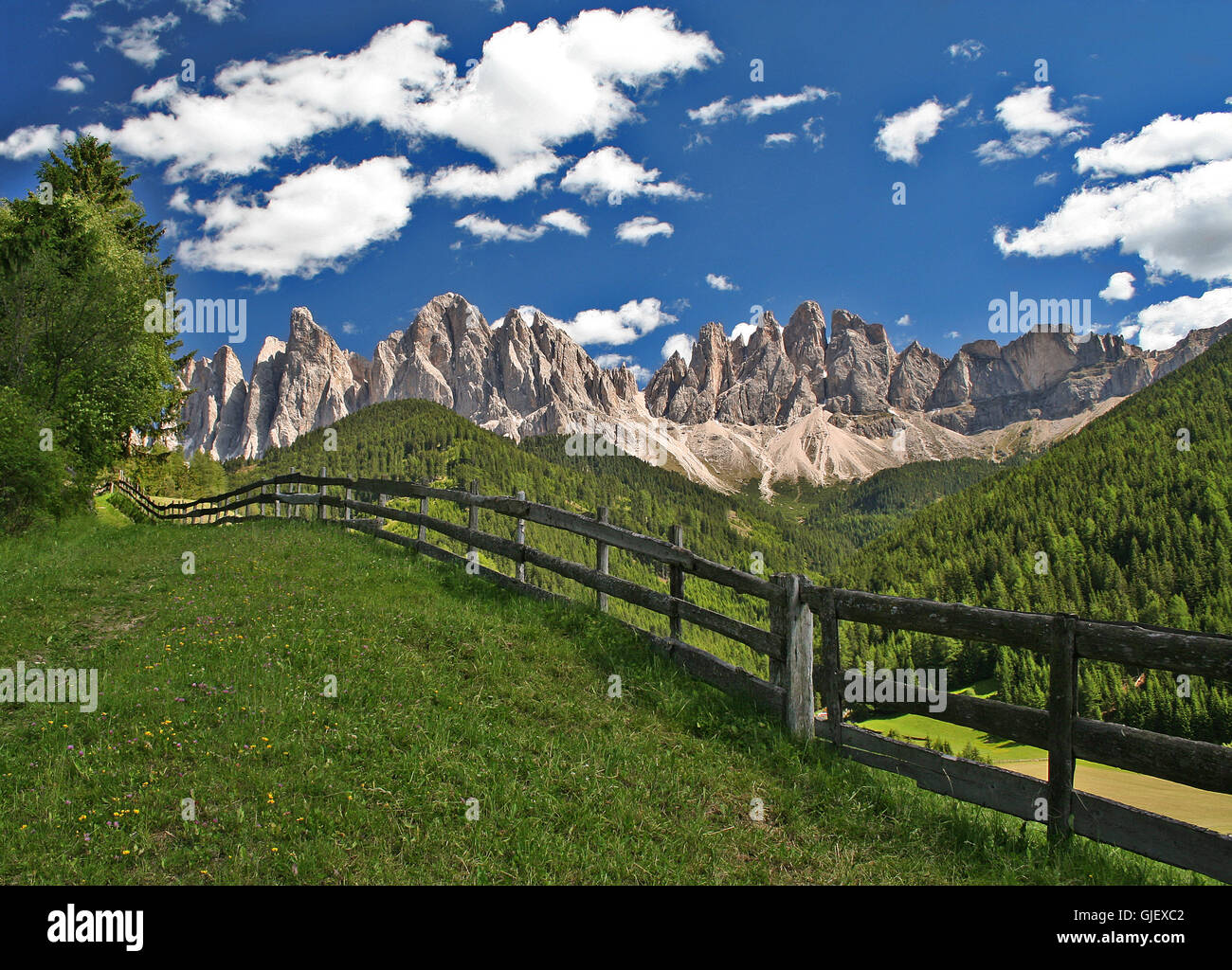 More geisler hi-res stock photography and images - Alamy