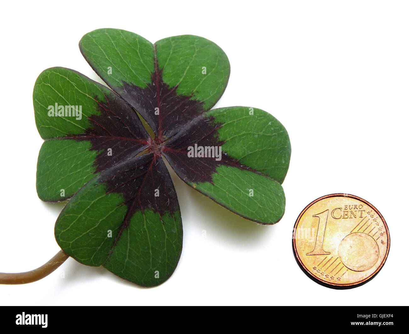 Lucky penny hi-res stock photography and images - Alamy