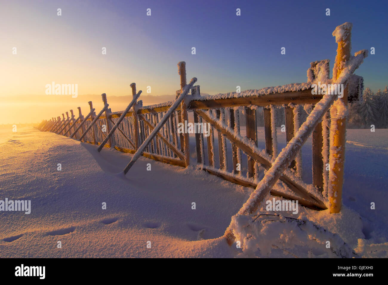 ways forward into the light Stock Photo - Alamy
