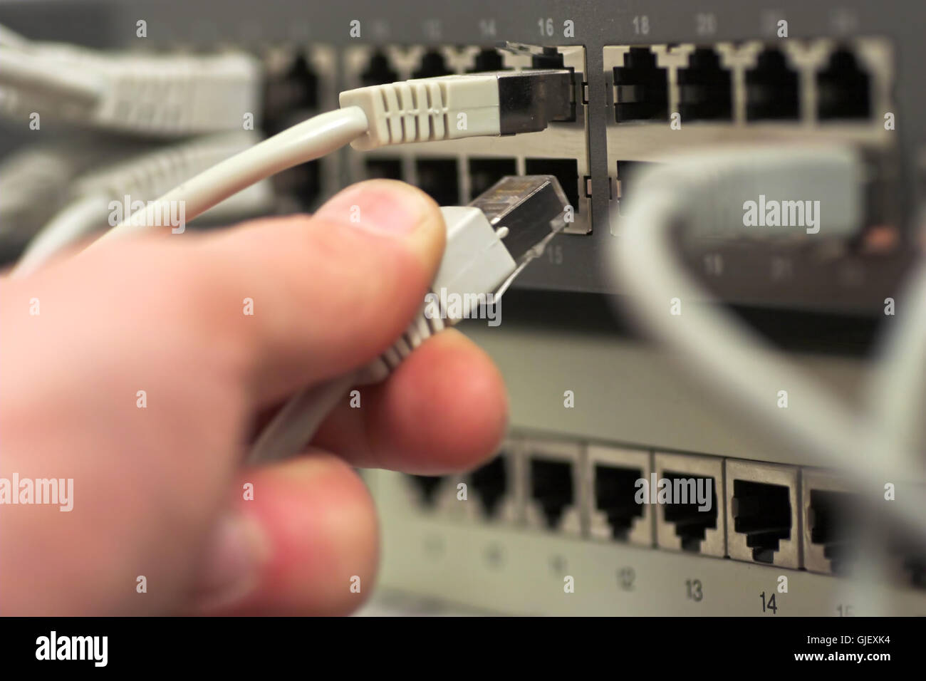 Network switch connected cable rj45 hi-res stock photography and images ...