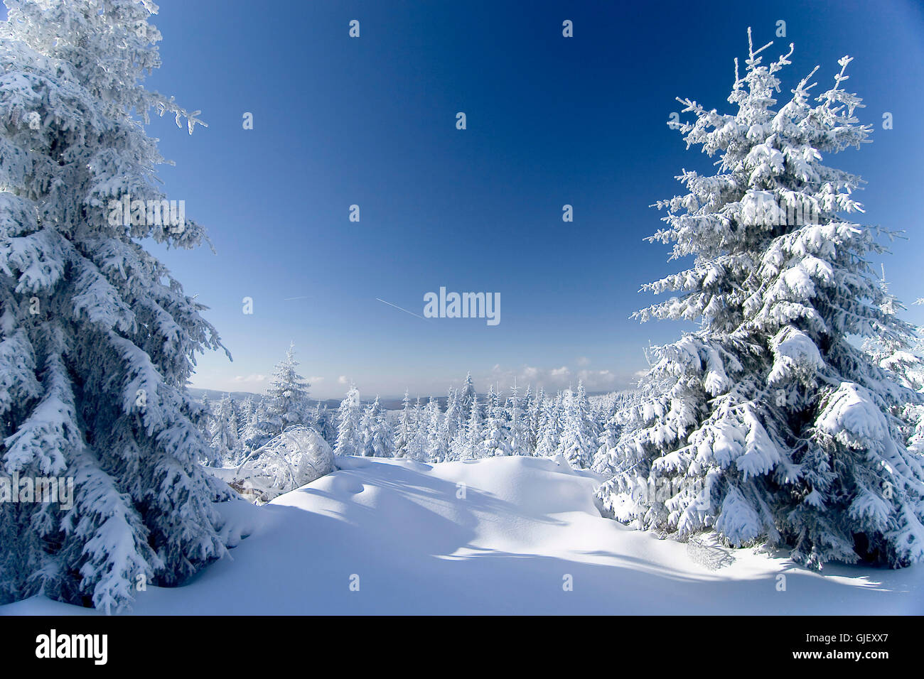 blue winter cold Stock Photo - Alamy