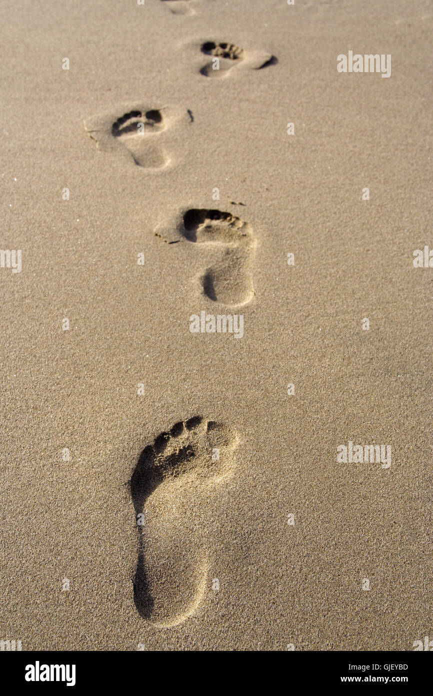Walking traces hi-res stock photography and images - Alamy
