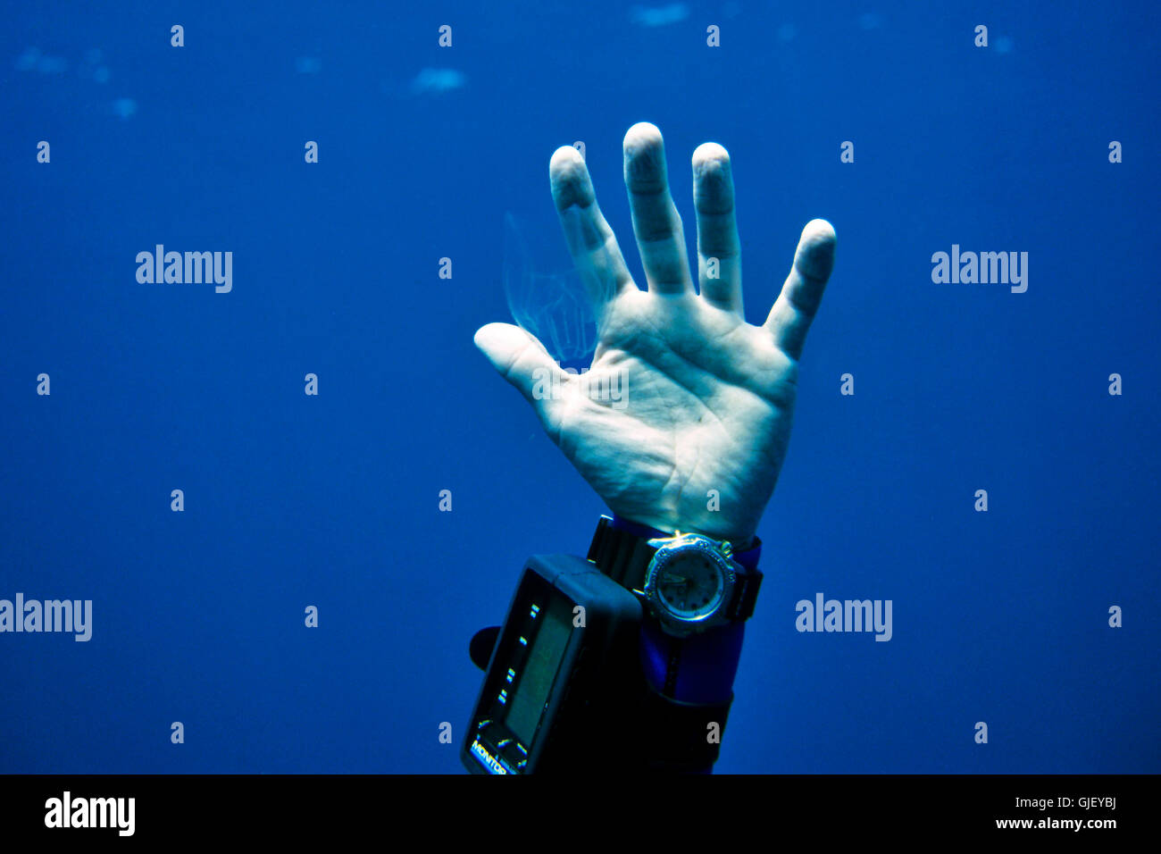 blue hand finger Stock Photo - Alamy