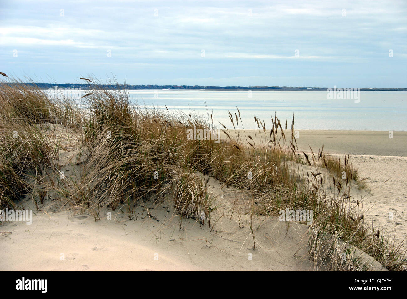 Insel fohr hi-res stock photography and images - Alamy