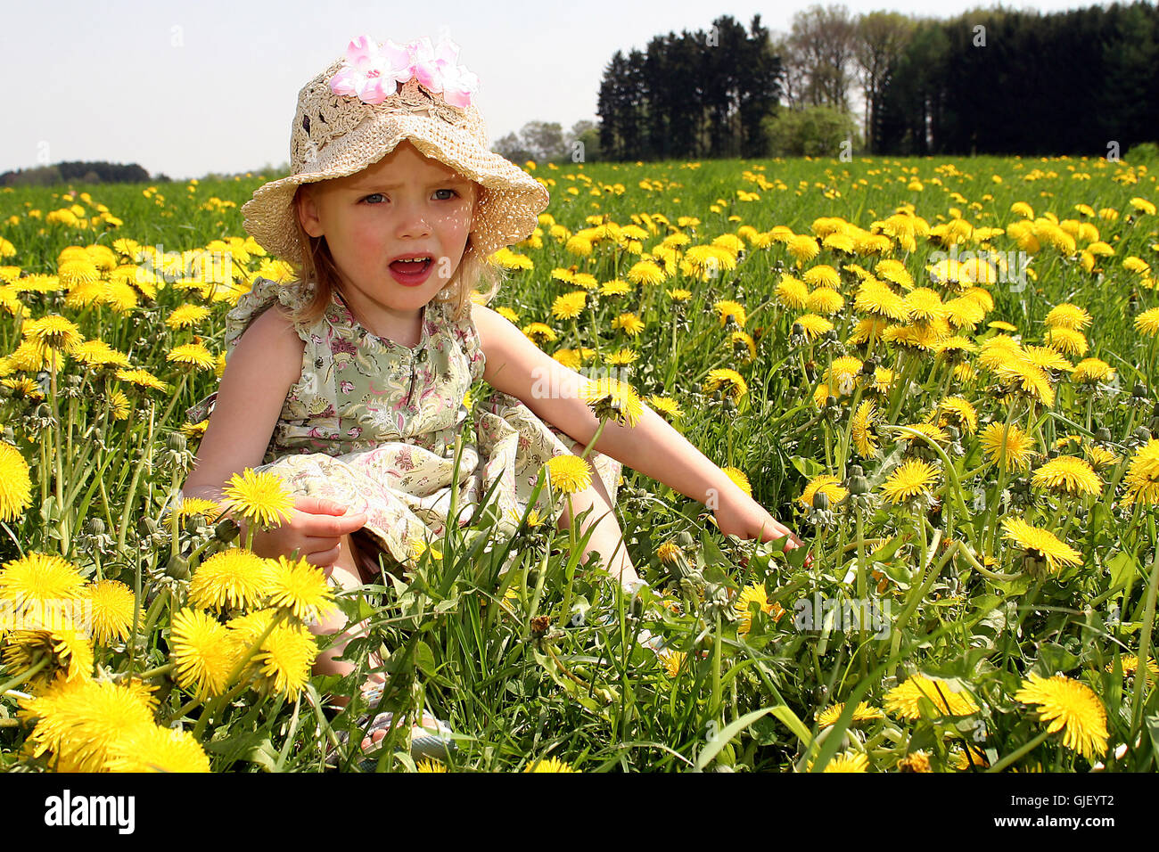 pick hand hands Stock Photo - Alamy