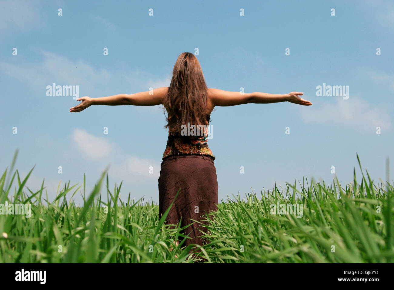 Feel free hi-res stock photography and images - Alamy