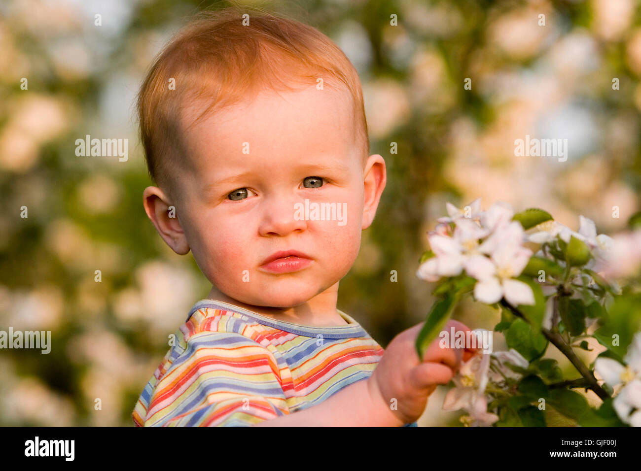humans human beings people Stock Photo - Alamy