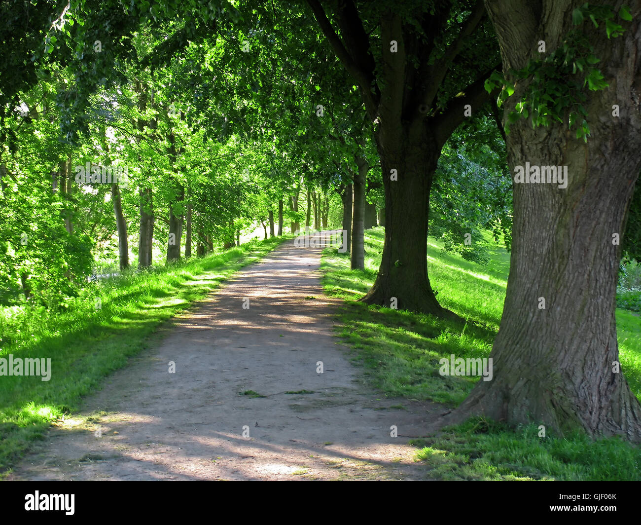 book tree trees Stock Photo - Alamy