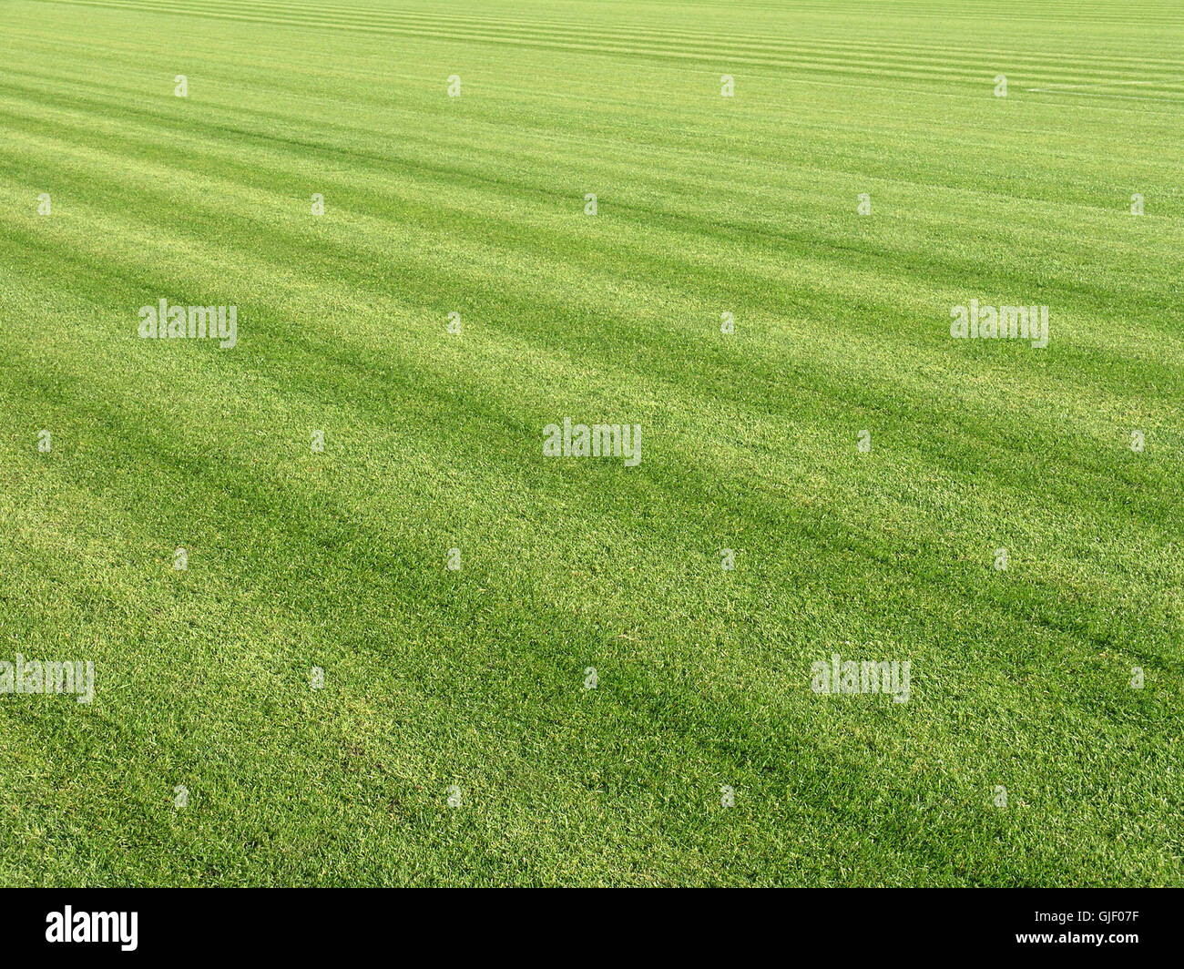 Lawn rolling hi-res stock photography and images - Alamy