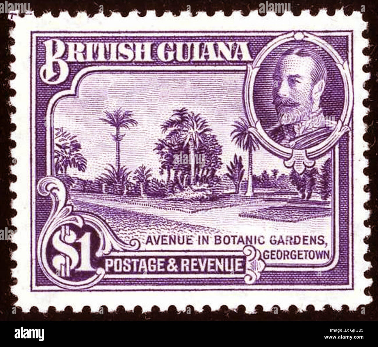 Issued in 1934, this $1 stamp from British Guiana (Yv154) depicts a ...