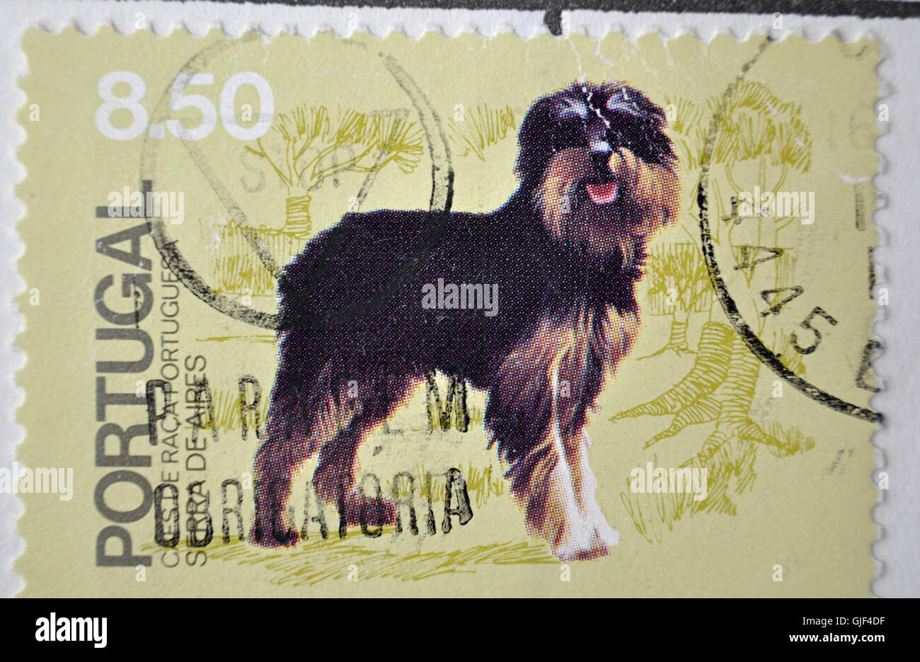 postage stamp, dog, 8,50, Portugal Stock Photo - Alamy