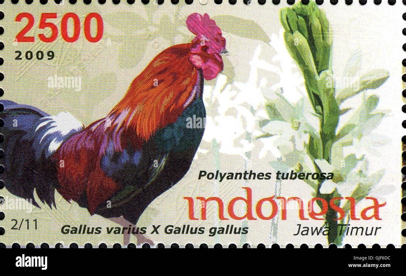 The Indonesia 071-09 stamp is part of a series issued in the 1970s ...