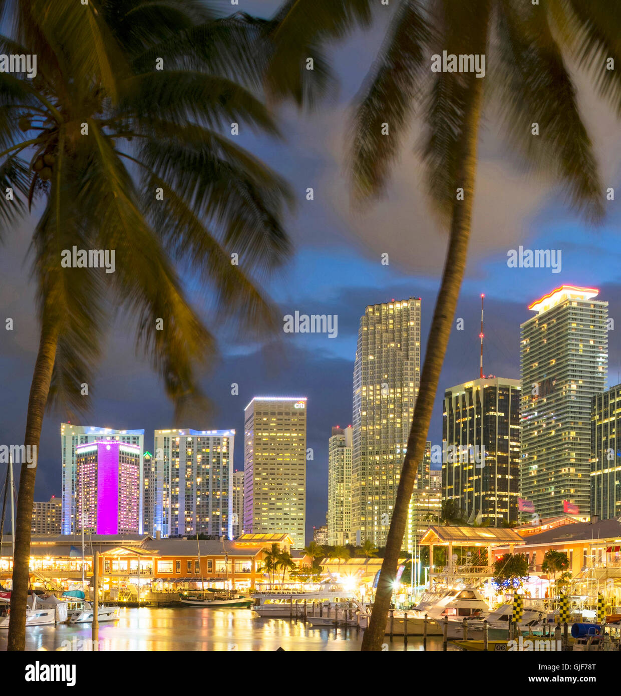 Miami skyline viewed over marina hi-res stock photography and images ...