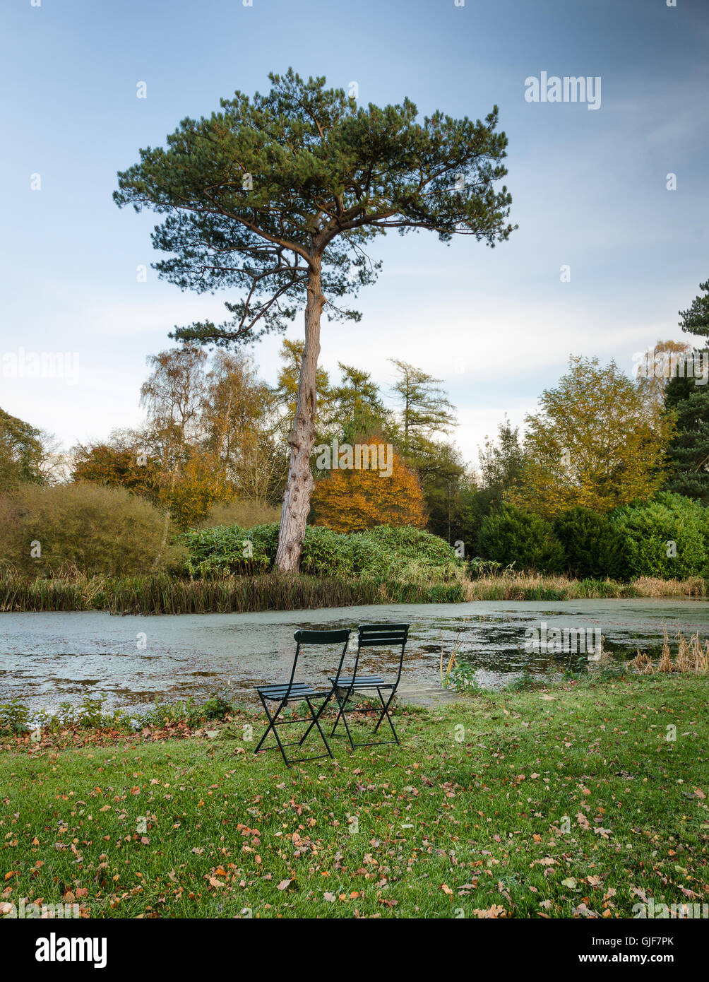 Empty garden seats overlooking a small lake Stock Photo - Alamy