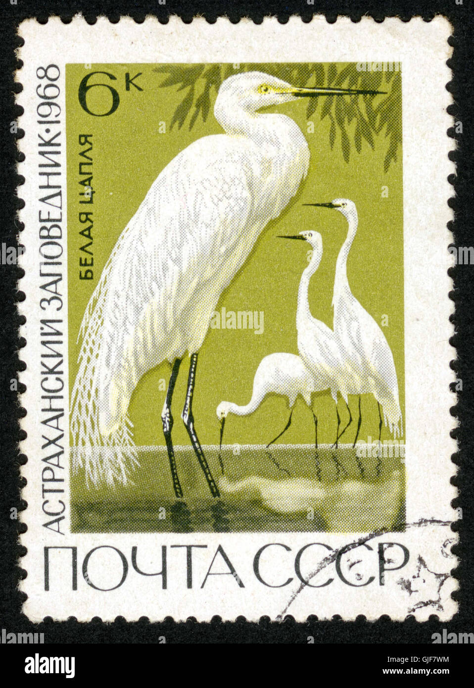 Astrakhan mark hi-res stock photography and images - Alamy