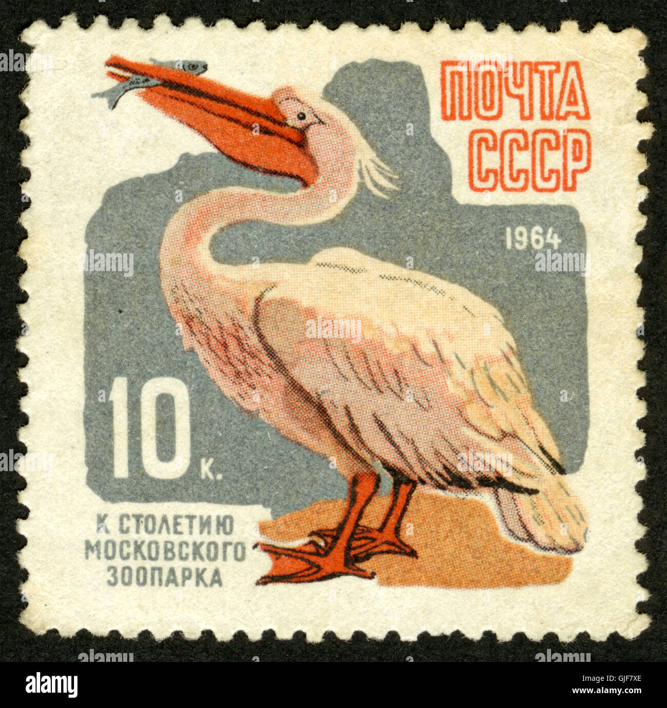 Collection of vintage animal stamps hi-res stock photography and images ...