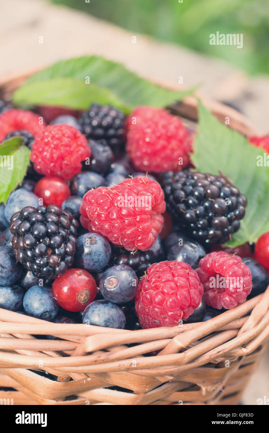 Food fresh fruit produce blackberry sweet berry berries hi-res stock ...