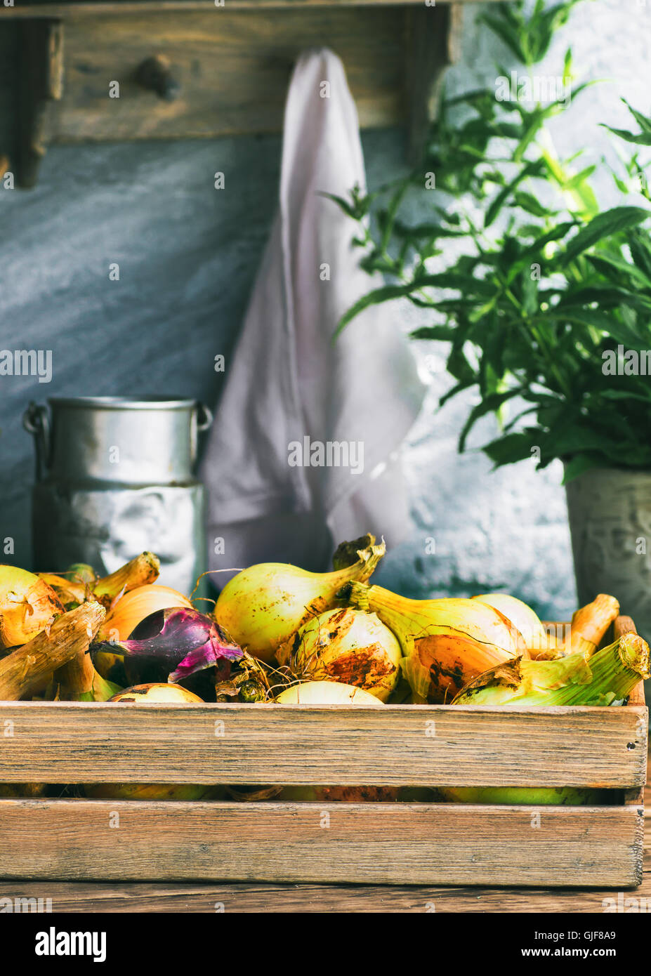 Onion box hi-res stock photography and images - Alamy