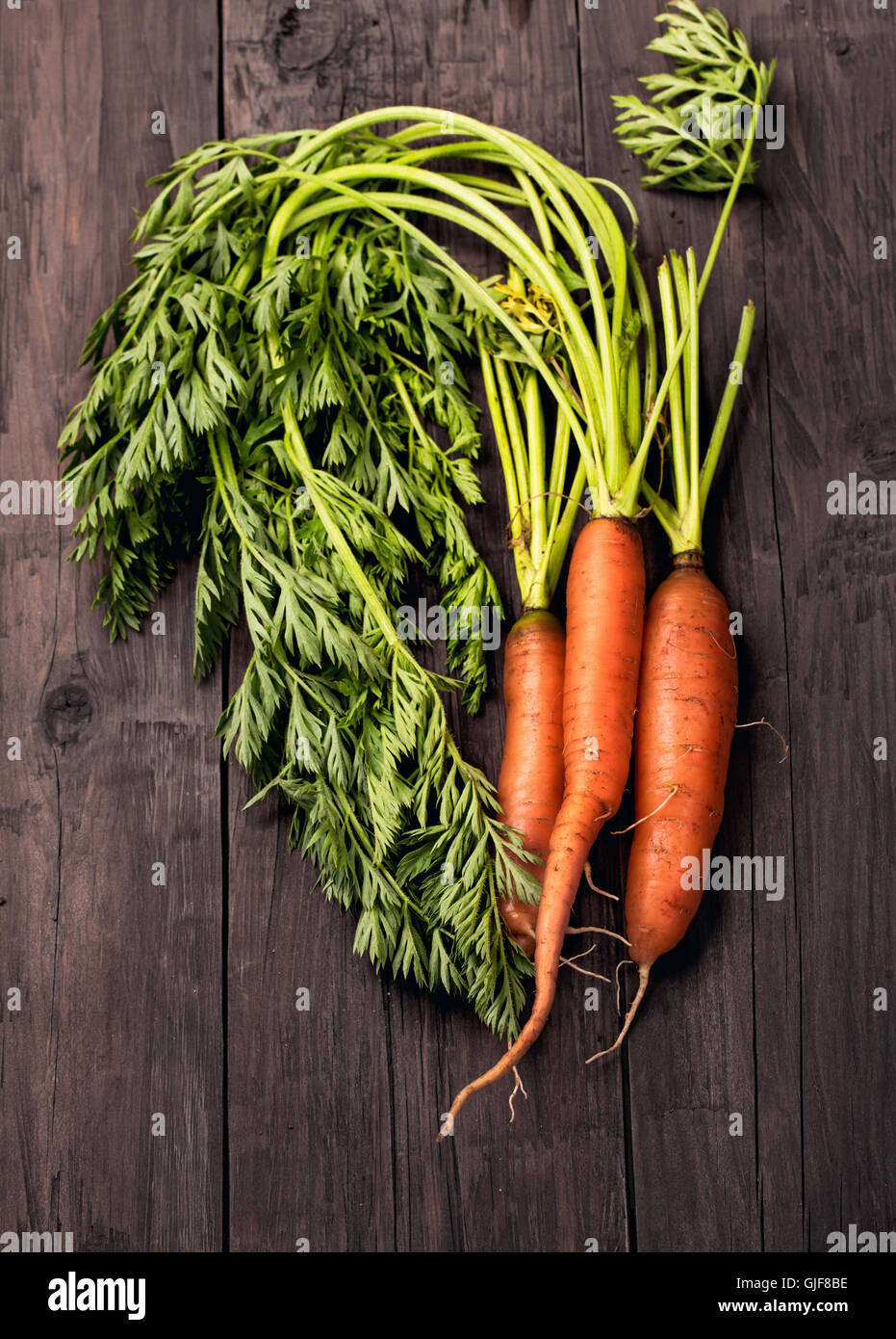 Bunch of fresh carrots Stock Photo - Alamy