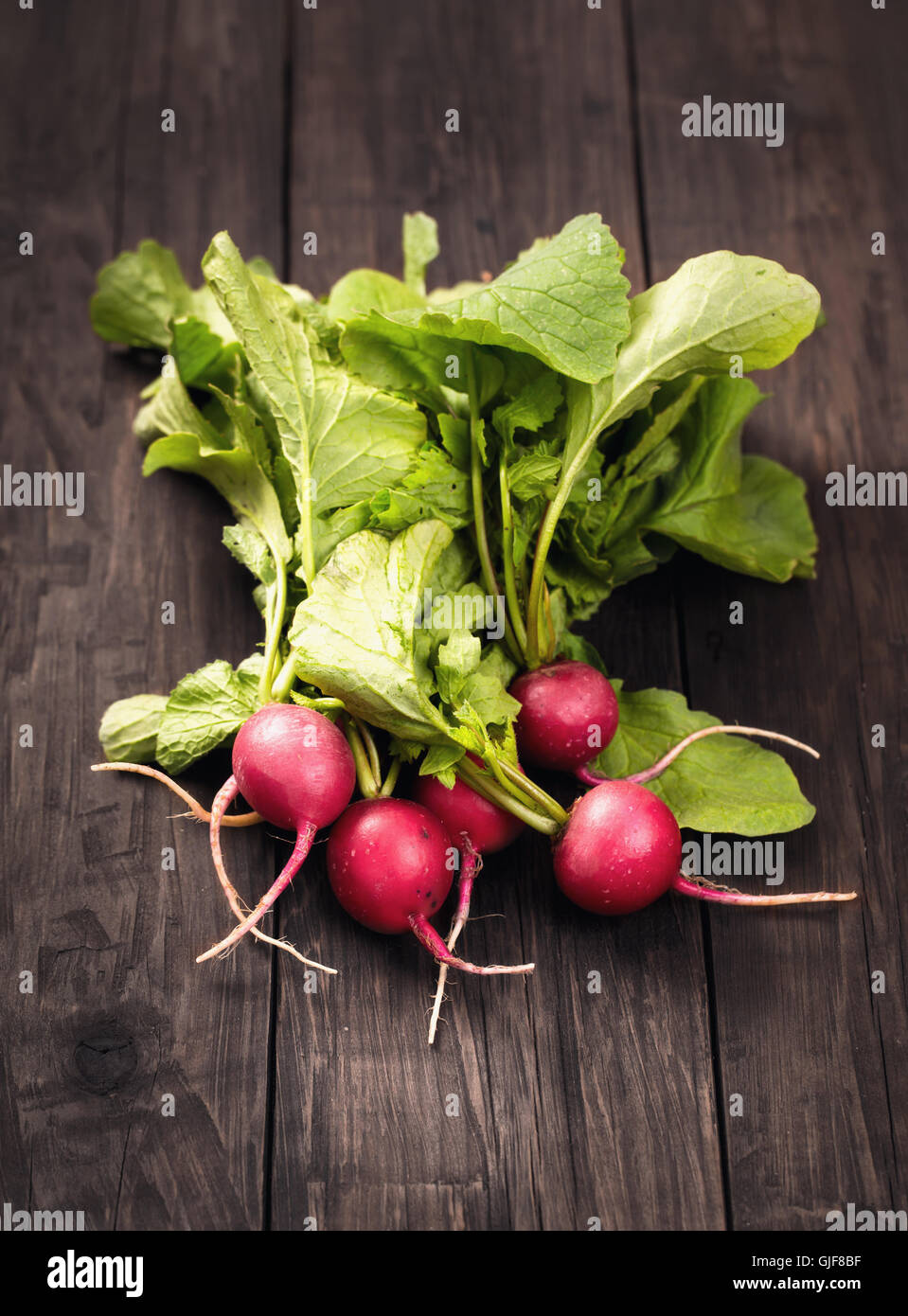Root bunch hi-res stock photography and images - Alamy