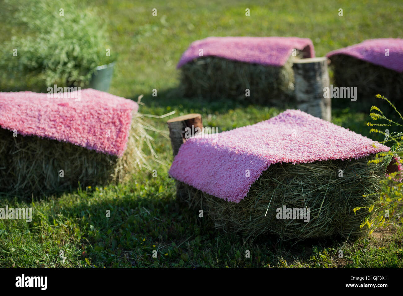 Seats made of straw hay and pallet wood covered with violet carpet ...