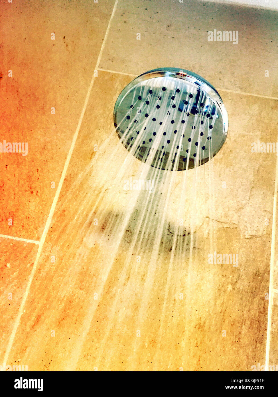 Water Running from Metal Shower Head Fixture Stock Photo - Alamy