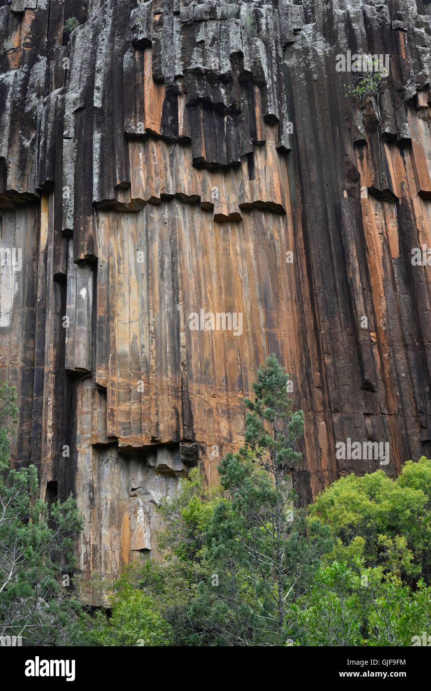 the organ-pipe cliff face of Sawn Rocks, a reminder of Mount Kaputar’s ...
