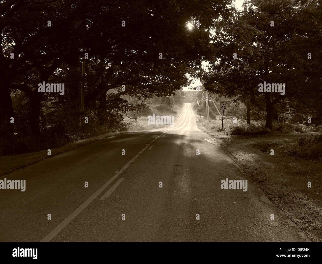 Maine Country Road At Dawn. Black and white image of a shaded road in ...