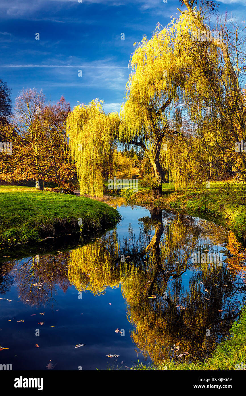 Weeping willow pond hi-res stock photography and images - Alamy