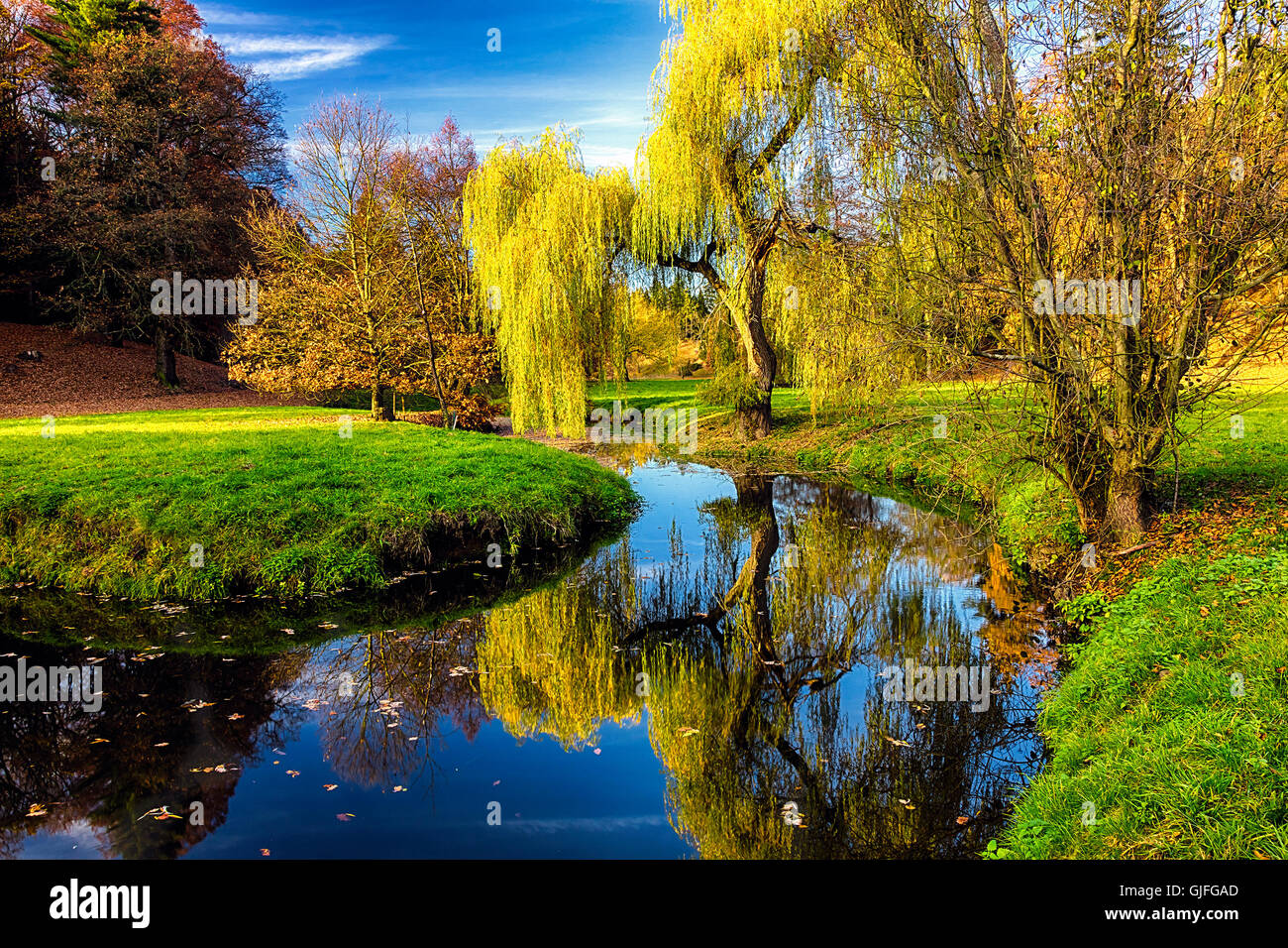 Weeping willow at sunset at lake hi-res stock photography and images ...