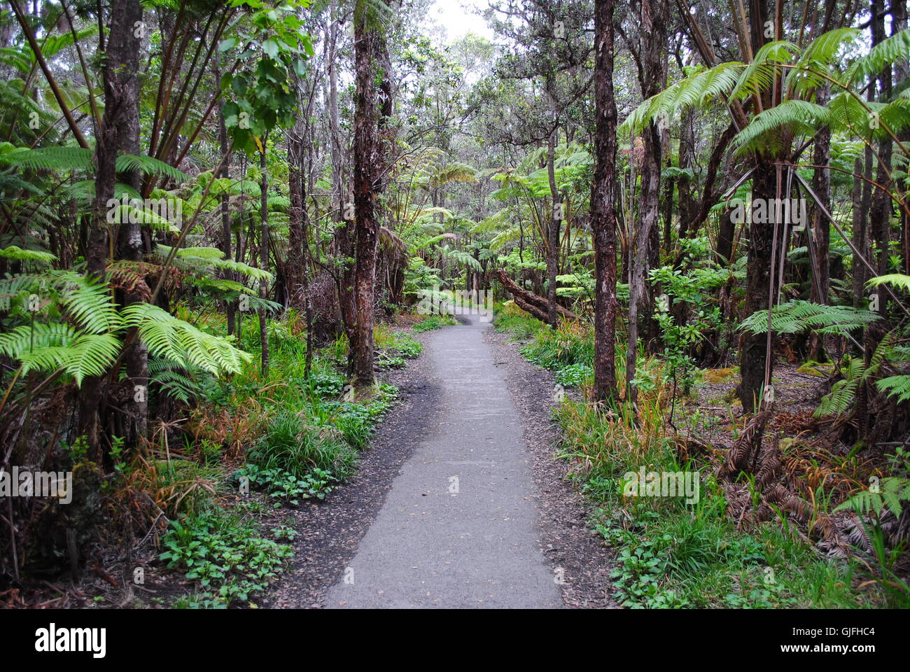 Hike photography hi-res stock photography and images - Alamy