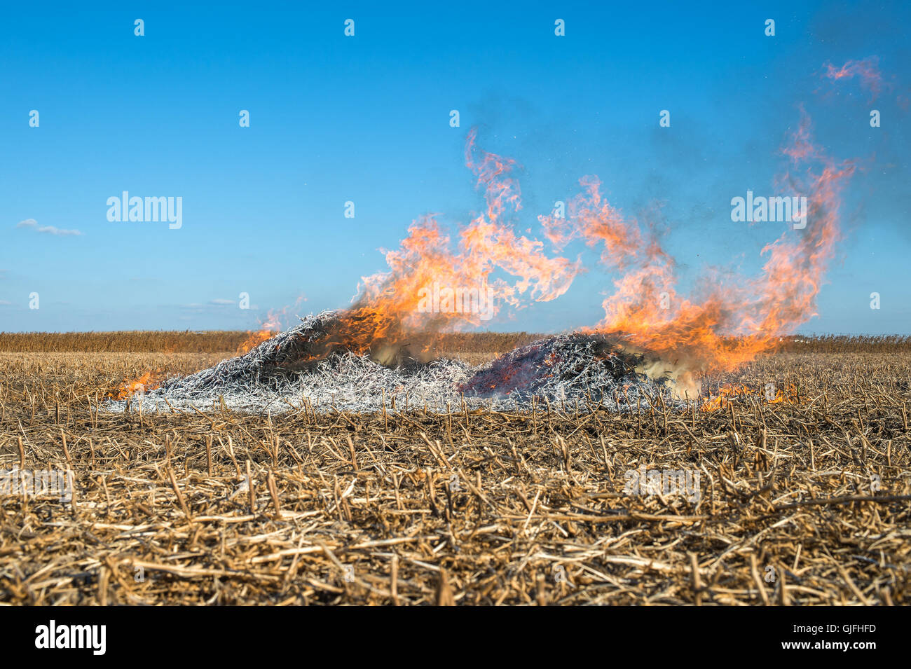 Burning straw in a field Stock Photo - Alamy