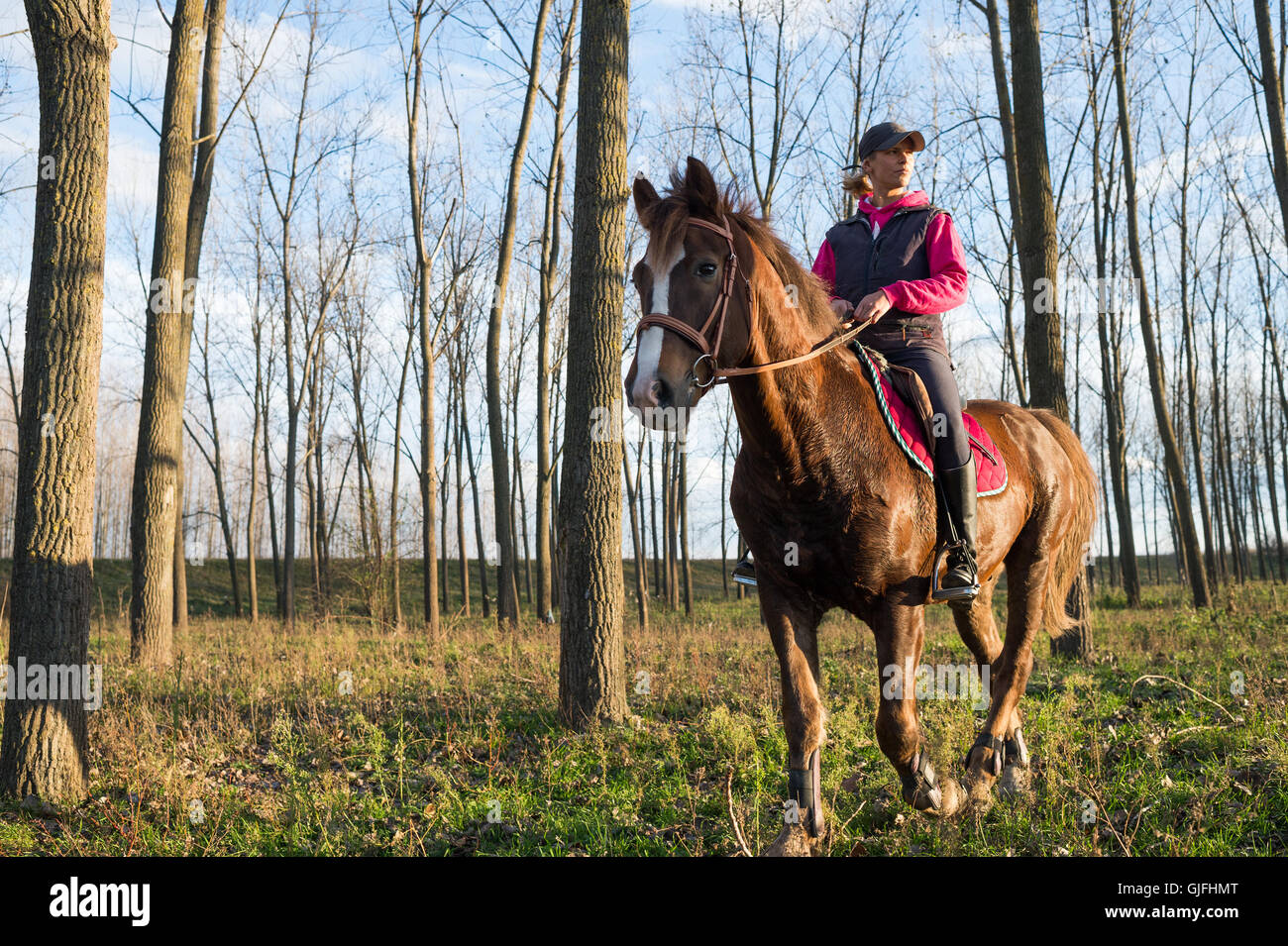 Girl horseback riding forest hi-res stock photography and images - Alamy