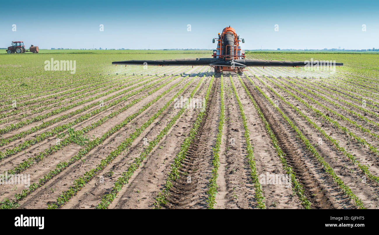 tractor spraying pesticides on soy bean Stock Photo - Alamy