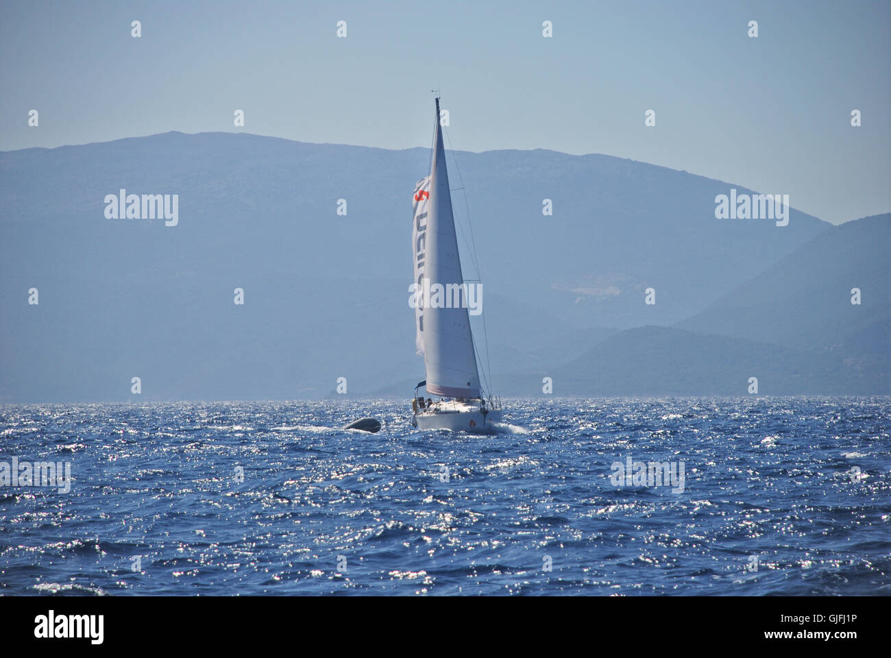 Flotilla lead boat hi-res stock photography and images - Alamy