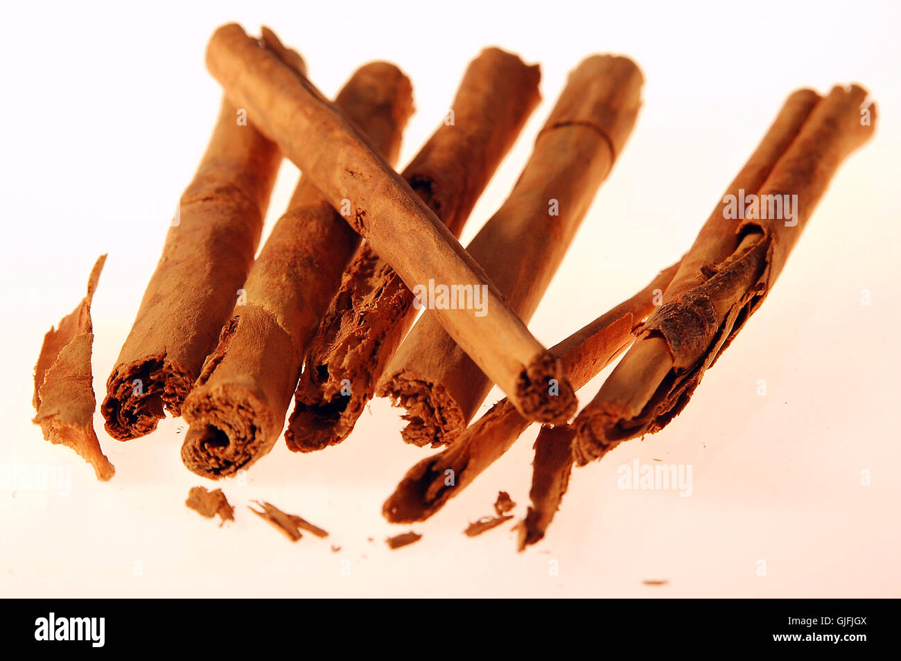 Malabar cinnamon hi-res stock photography and images - Alamy
