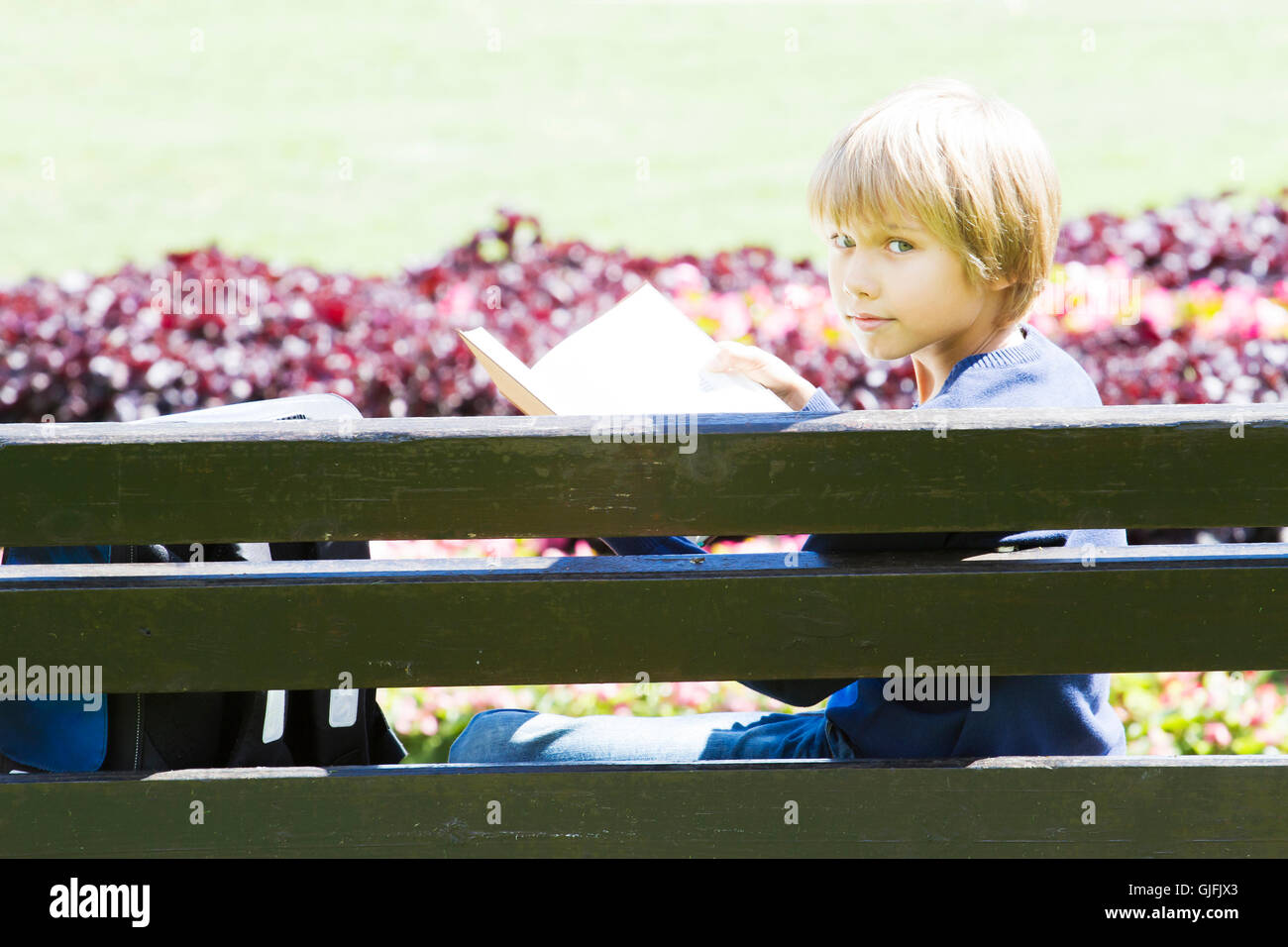 Little boy reading book on bench in the park Stock Photo - Alamy