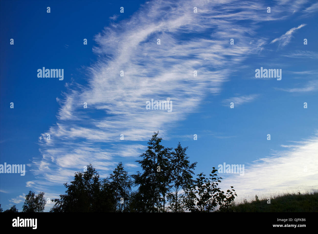 Cirrus fibratus clouds hi-res stock photography and images - Alamy