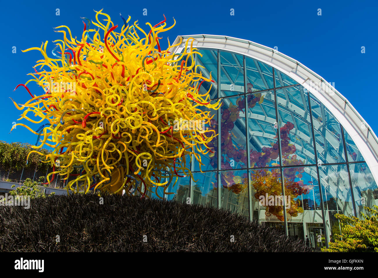 Chihuly garden and glass hi-res stock photography and images - Alamy