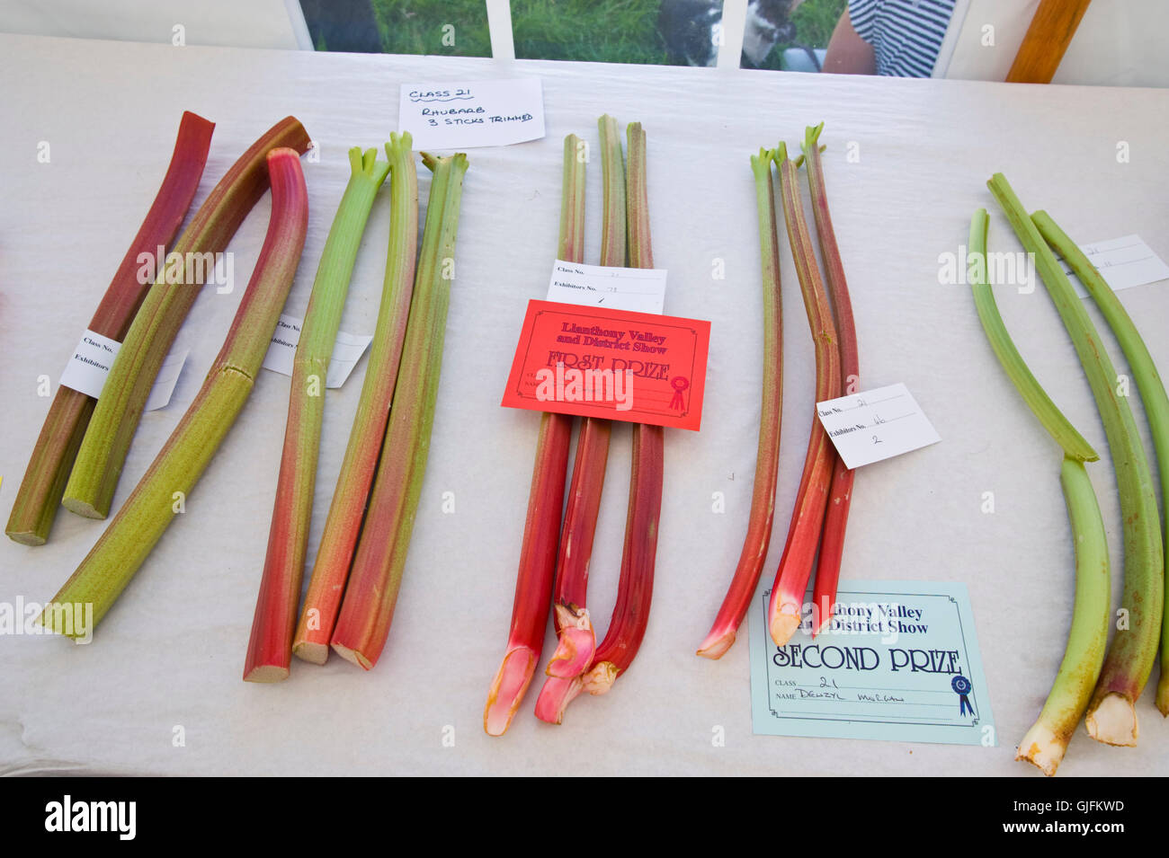 Prizewinning rhubarb in the produce marquee at Llanthony Show near ...